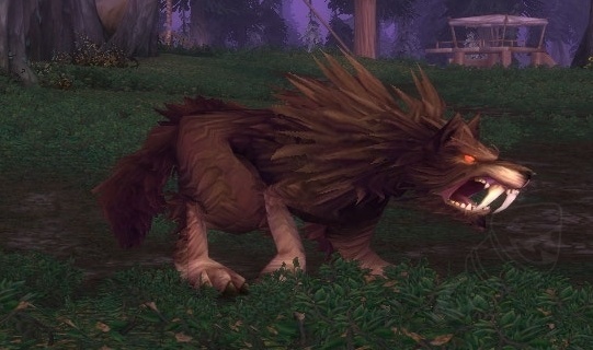 Bjomolf - NPC - Mists of Pandaria Classic