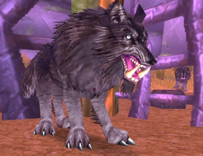 Huargo oscuro - PNJ - World of Warcraft