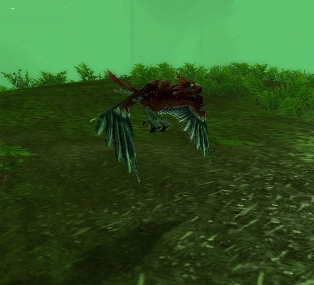 Parrot - NPC - Cataclysm Classic