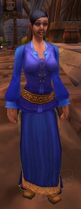 Stormwind Citizen - NPC - World of Warcraft