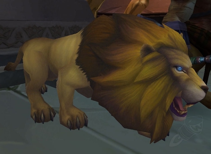 Akhet - NPC - World of Warcraft