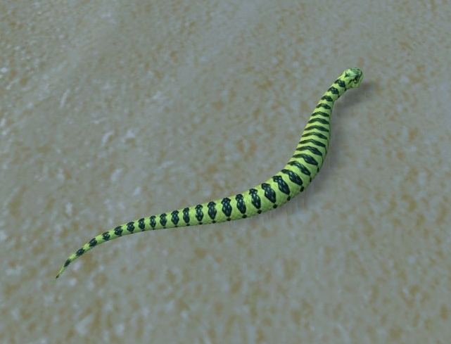 Rattlesnake - NPC - World of Warcraft