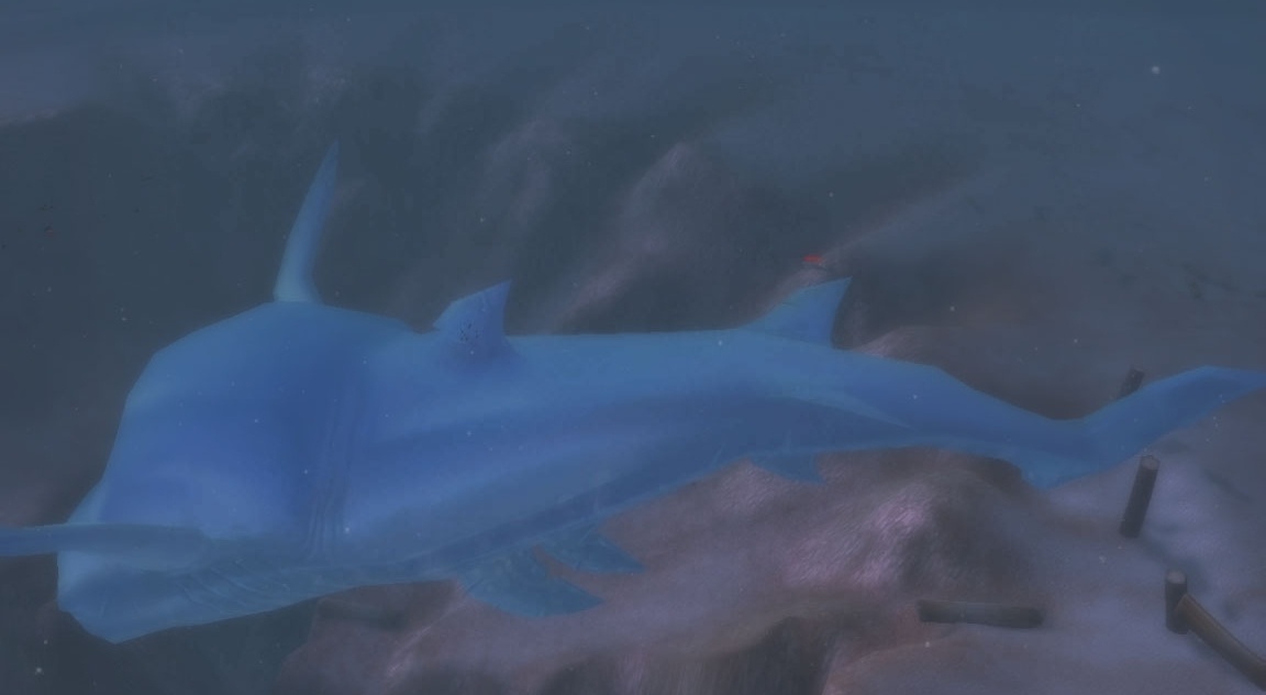 Whale Shark - NPC - World of Warcraft