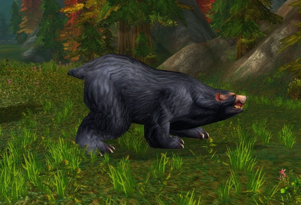 Vicious Black Bear - NPC - Cataclysm Classic