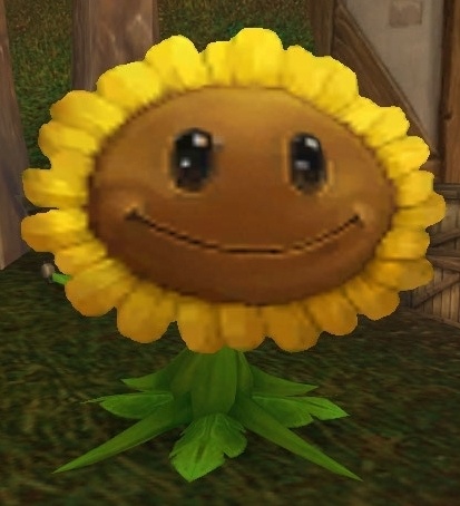 Sunflower - NPC - Cataclysm Classic