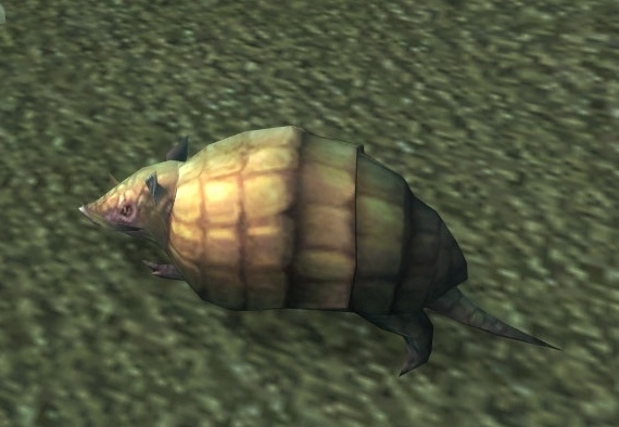 Hairy Armadillo - NPC - World of Warcraft Hairy Armadillo - NPC - World of Warcraft