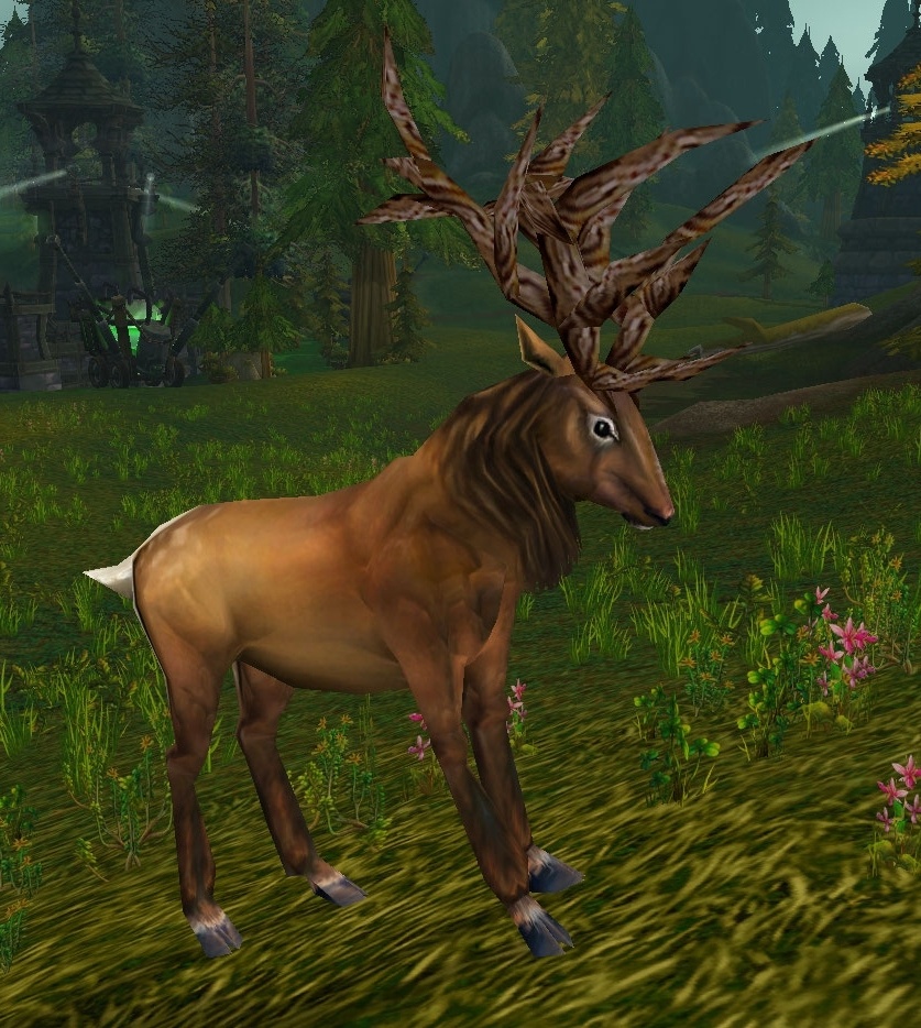 Hill Stag - NPC - World of Warcraft