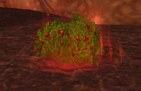 Rotberry Bush - Object - World of Warcraft