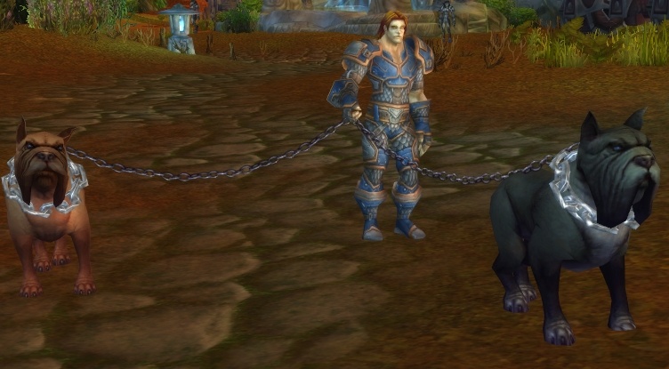 Houndmaster Jonathan - NPC - Mists of Pandaria Classic
