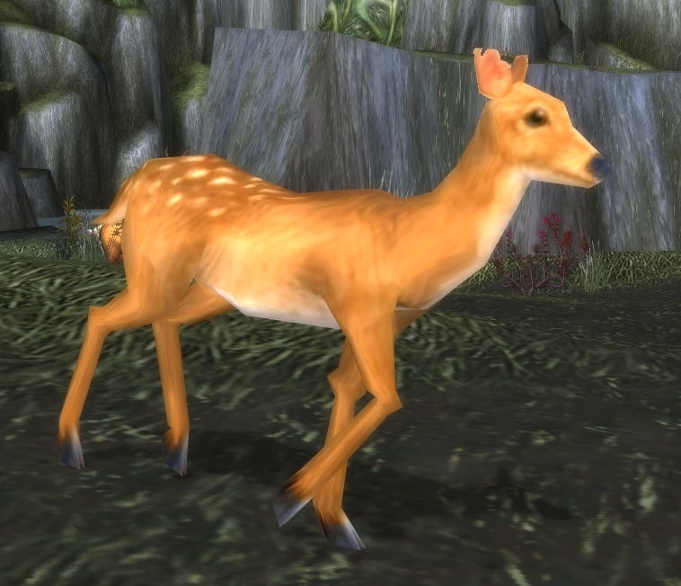 Mottled Doe - NPC - World of Warcraft