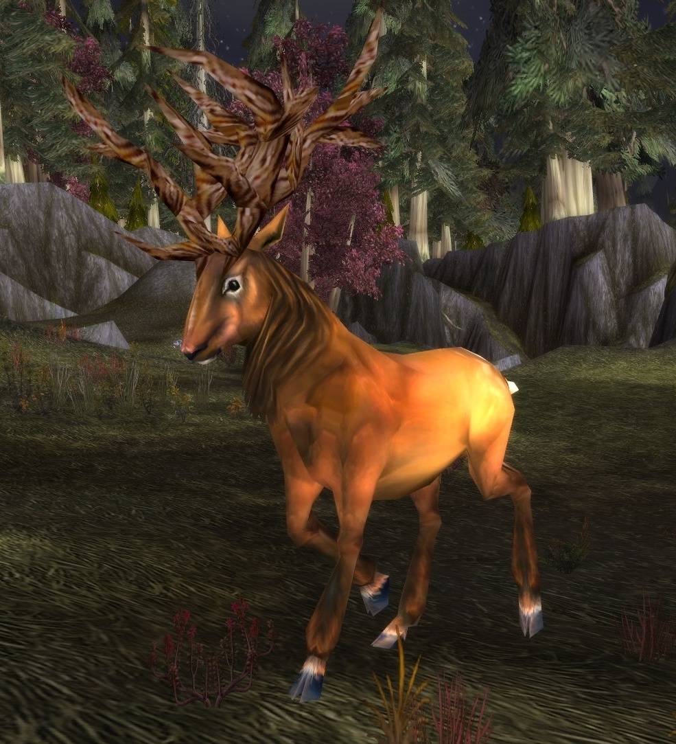Whitetail Stag - NPC - World of Warcraft