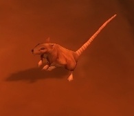 Wharf Rat - NPC - World of Warcraft