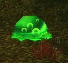 Cursed Ooze - NPC - World of Warcraft