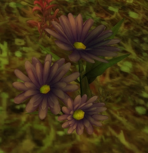 Crying Violet - Object - World of Warcraft