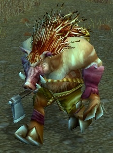 Razormane Pathfinder - NPC - Mists of Pandaria Classic