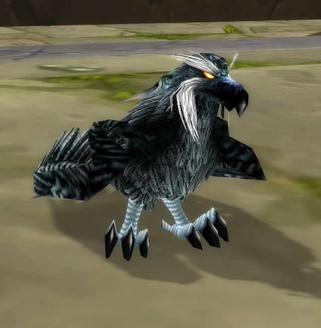 Druid of the Talon - NPC - World of Warcraft