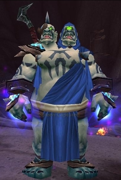 Twilight Field Captain - NPC - World of Warcraft