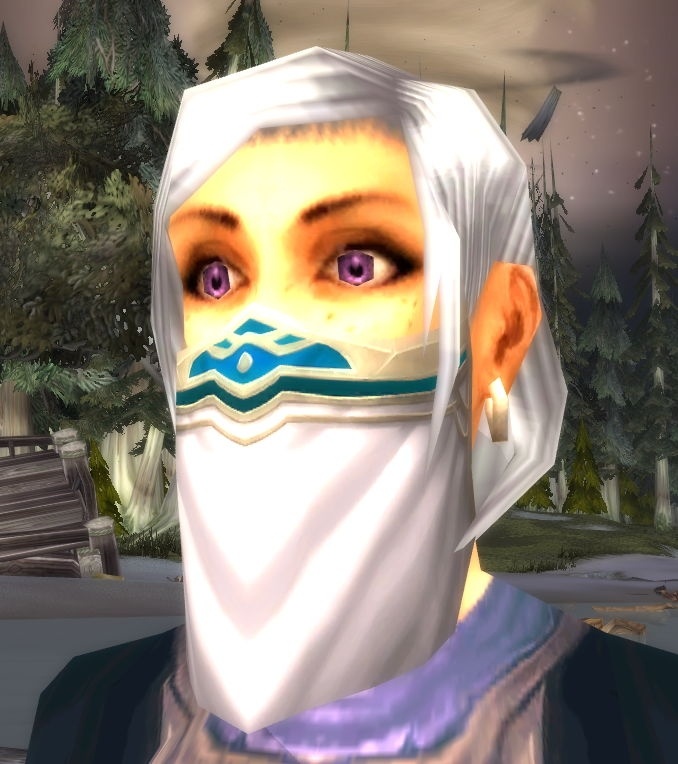 Demonkiller Mask - Item - World of Warcraft