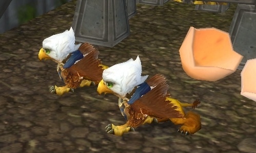 Wildhammer Gryphon Hatchling - NPC - World of Warcraft