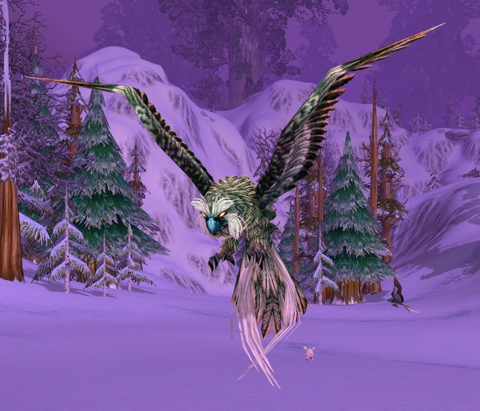 Winterspring Owl - NPC - World of Warcraft