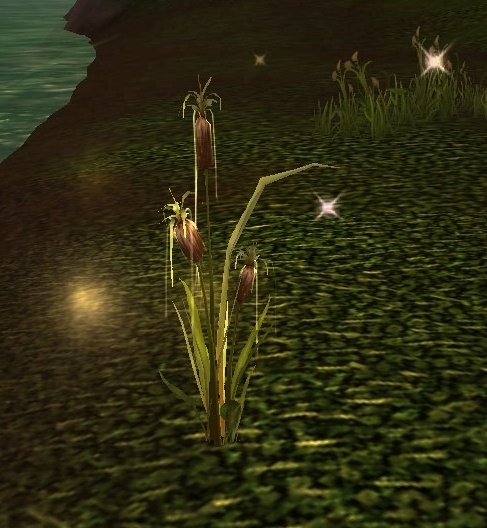 whiptail-item-world-of-warcraft