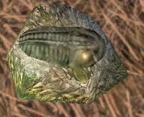 Trouvaille archéologique fossile - Entité - World of Warcraft