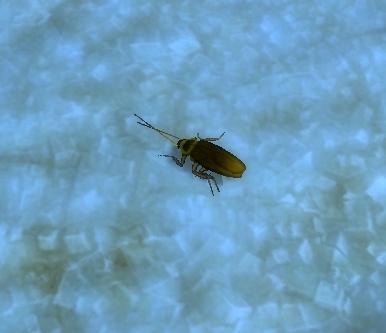 Deepholm Cockroach - NPC - World of Warcraft
