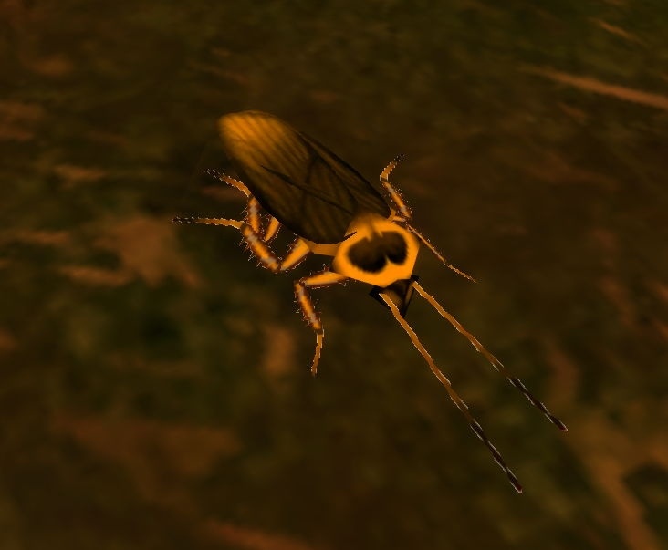 Cockroach - NPC - World of Warcraft