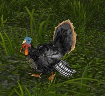 Pavo de las Tierras Altas - PNJ - World of Warcraft