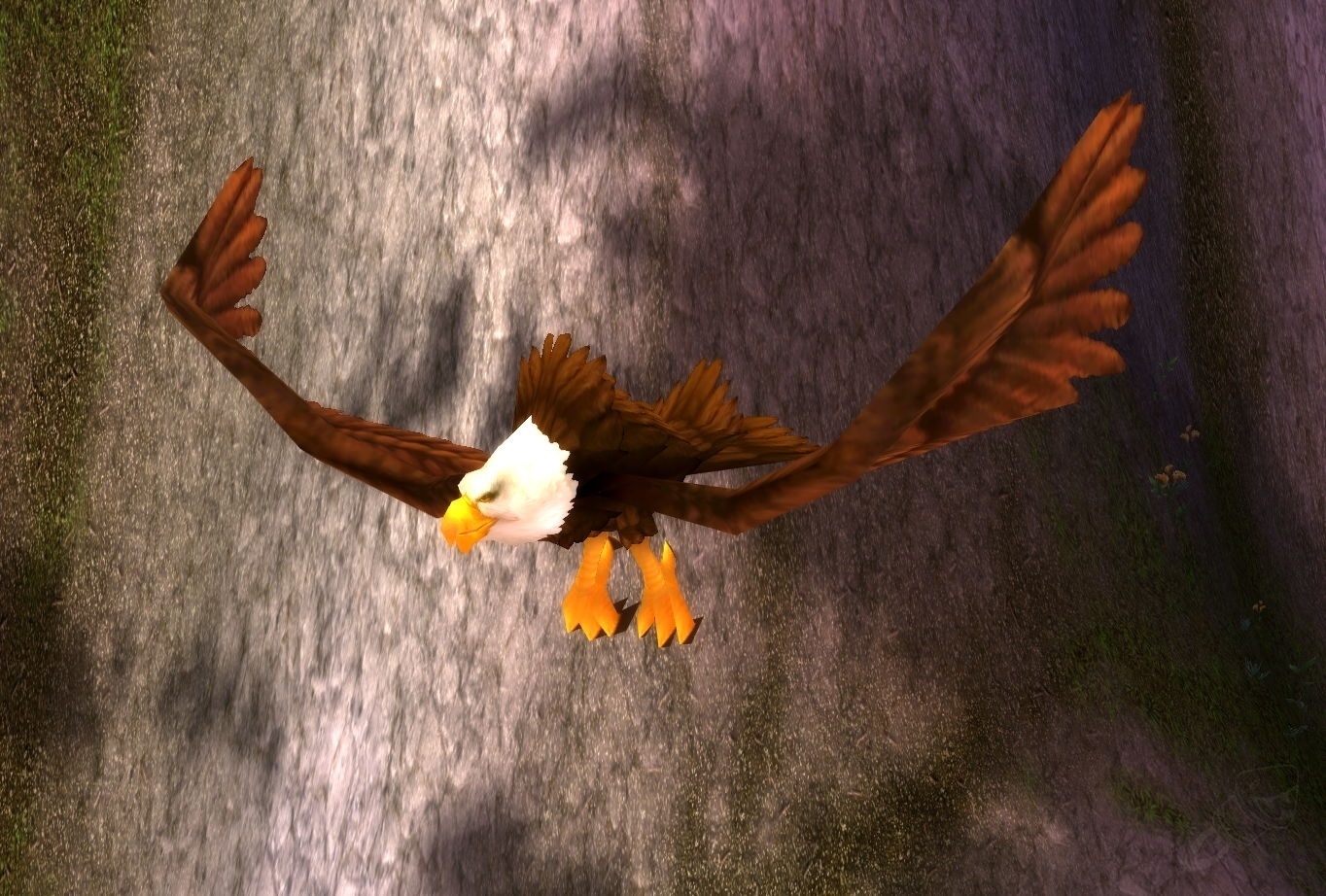 Hyjal Eagle - NPC - World of Warcraft