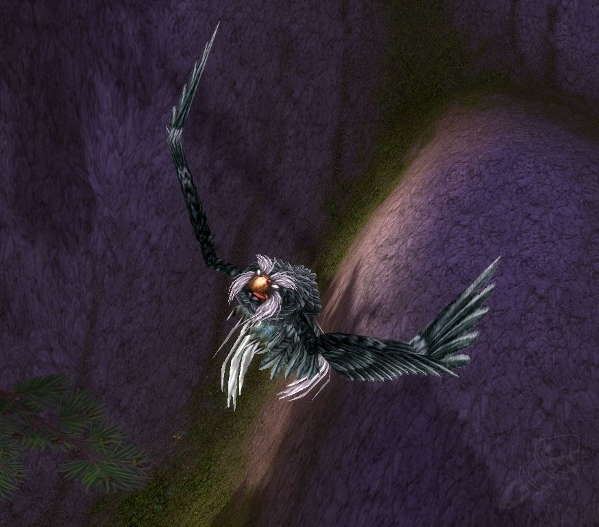 Hyjal Darkhawk - NPC - World of Warcraft