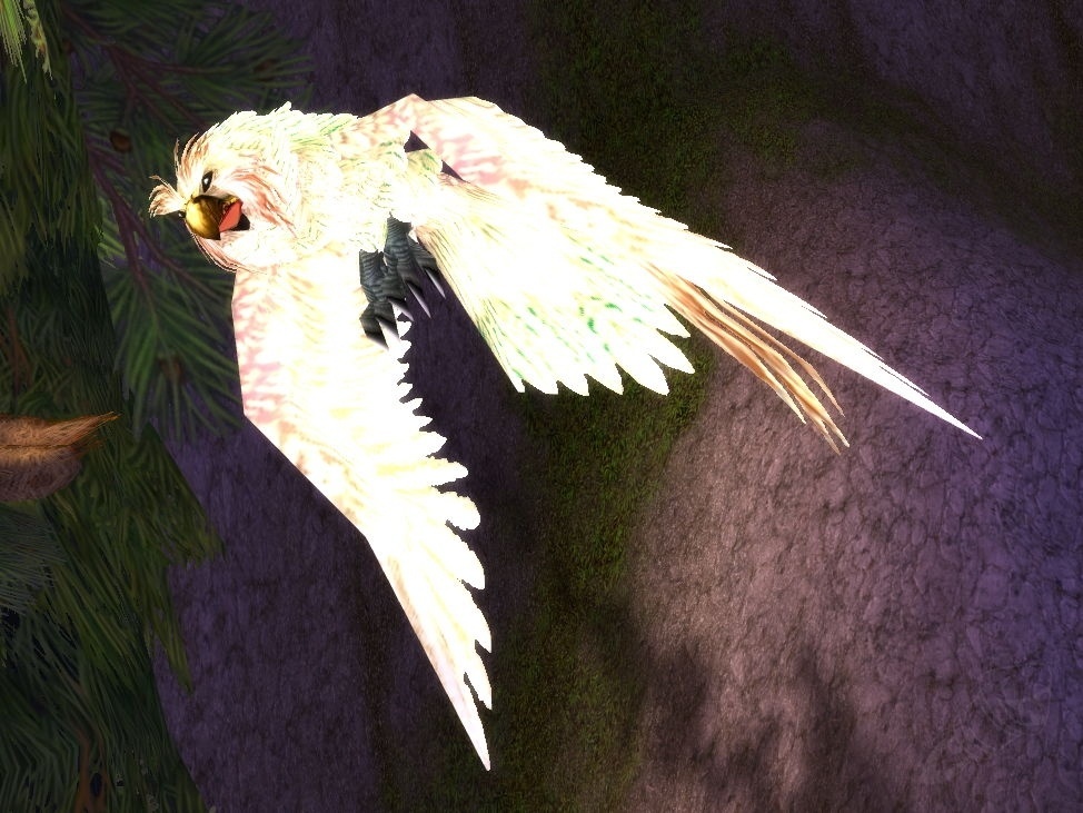 Hyjal Owl - NPC - World of Warcraft