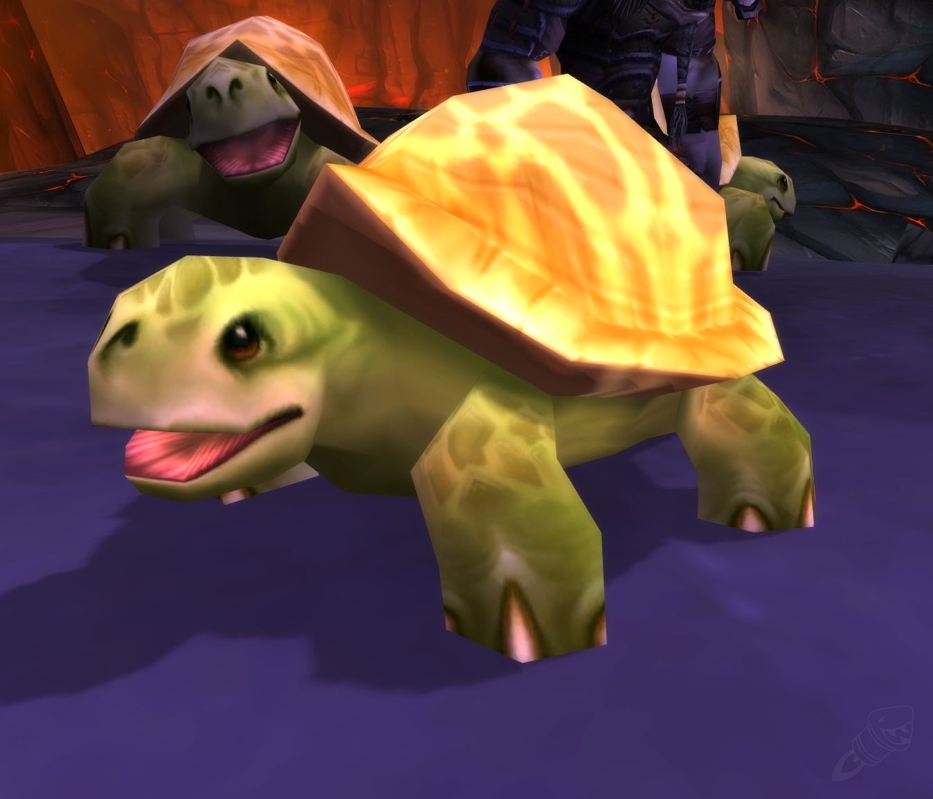 Child of Tortolla - NPC - World of Warcraft