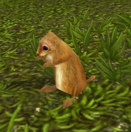 Yellow-Bellied Marmot - NPC - Cataclysm Classic