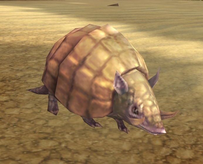 Armadillo - NPC - World of Warcraft Armadillo - NPC - World of Warcraft