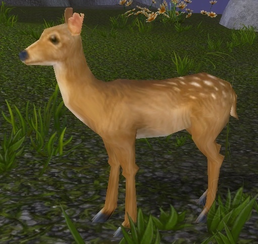 Highland Doe - NPC - World of Warcraft