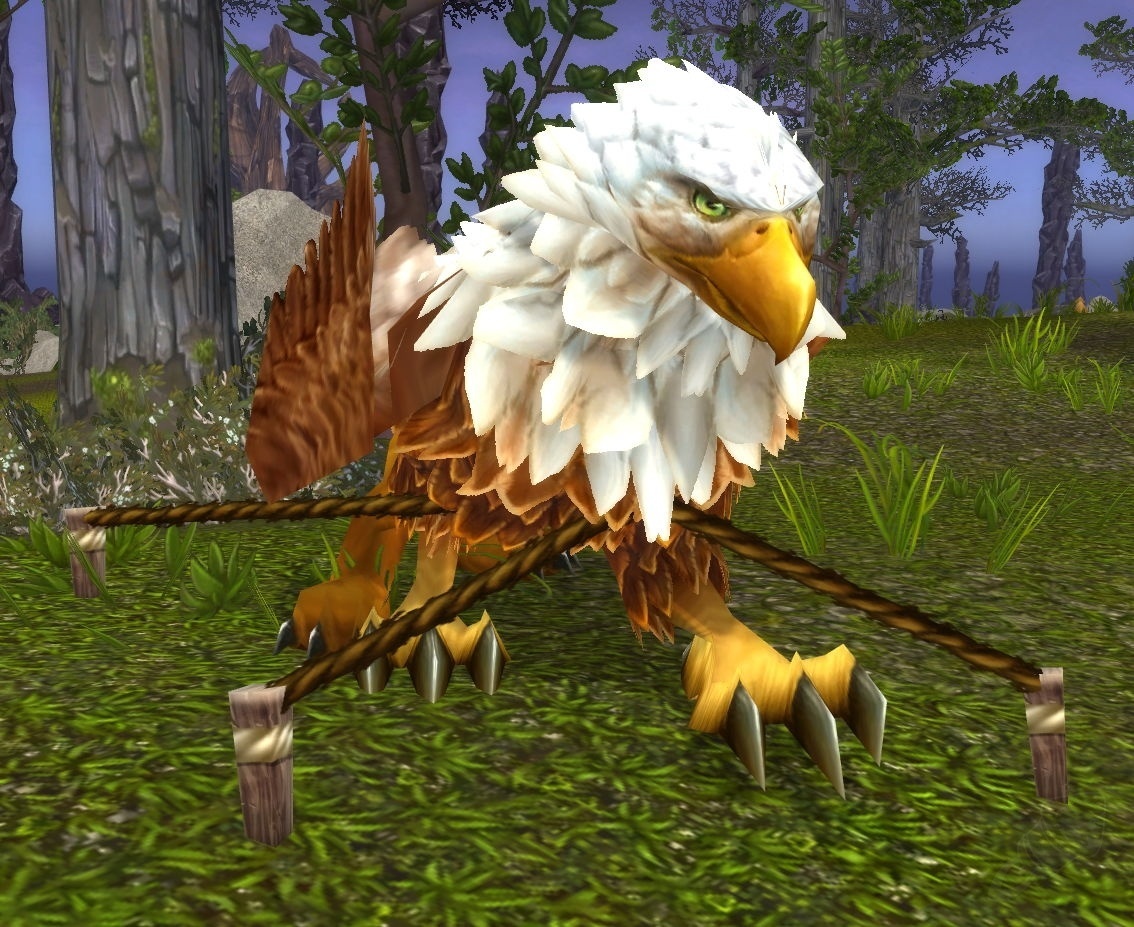 Twilight Trapper Bindings - NPC - World of Warcraft