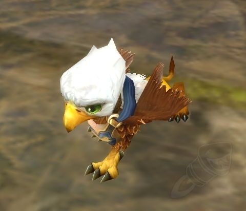 Beak - NPC - World of Warcraft