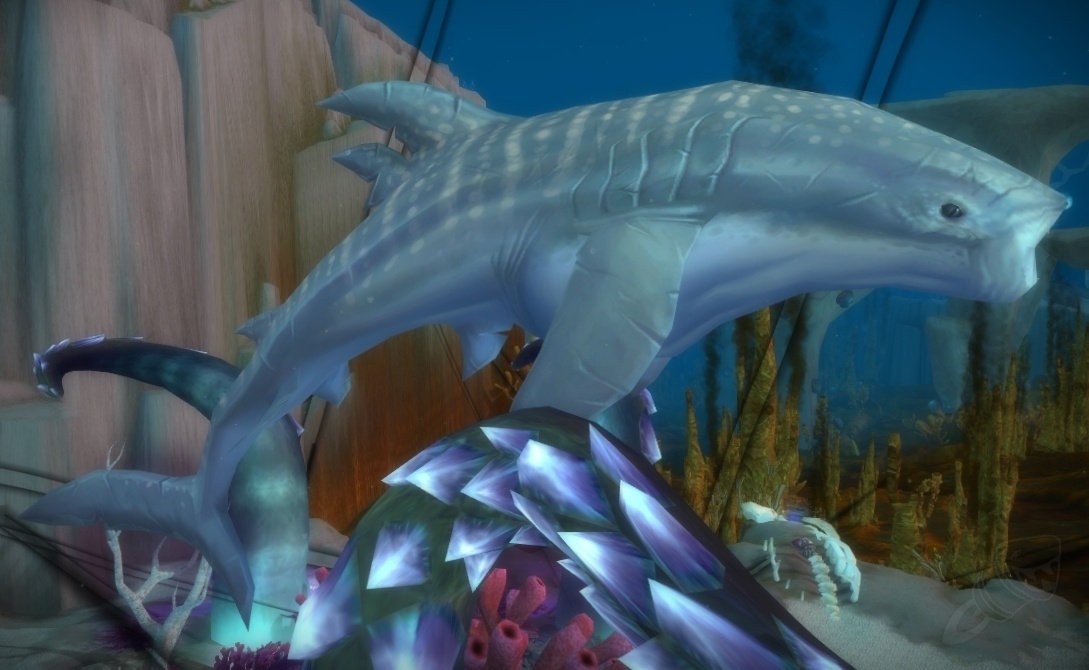 Willi - NPC - World of Warcraft