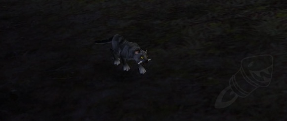 Gato descarado - PNJ - World of Warcraft