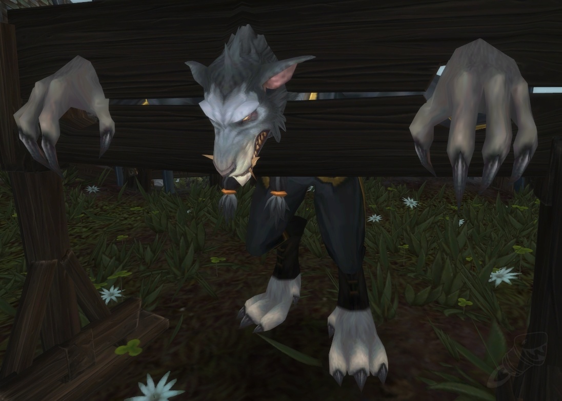 Worgen Cativo - PNJ - World of Warcraft