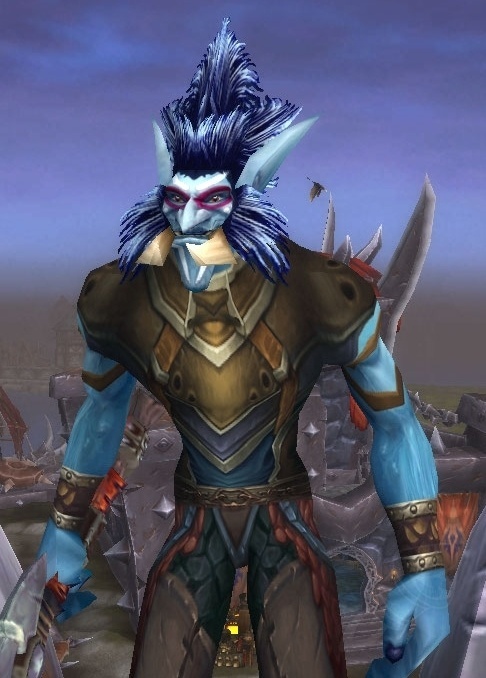 Cartographer's Chestguard - Item - World of Warcraft