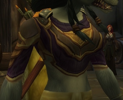 Dark Ranger's Vest - Item - World of Warcraft