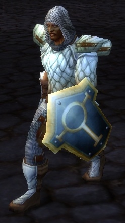 Alliance Paladin Infantry - NPC - World of Warcraft