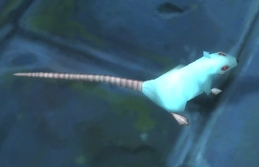 Prison Rat - NPC - World of Warcraft