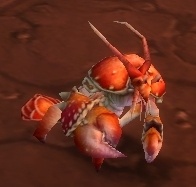 Muddy Crawfish - Item - World of Warcraft