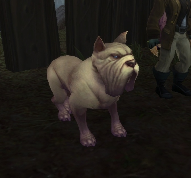 Baron - NPC - World of Warcraft