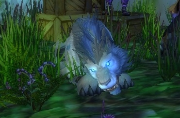 Cat Form - Spell - World of Warcraft