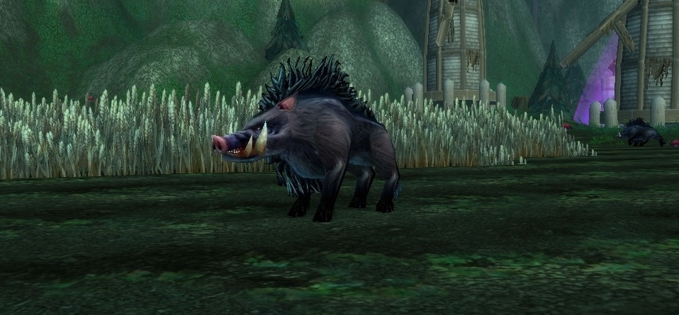 Darktusk Boar - NPC - Cataclysm Classic