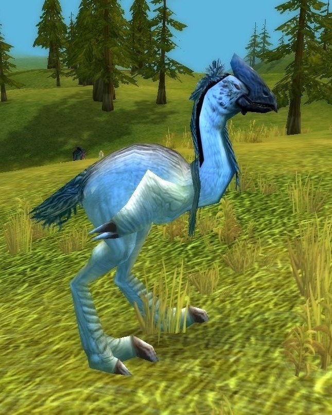 Elder Plainstrider - NPC - Classic World of Warcraft